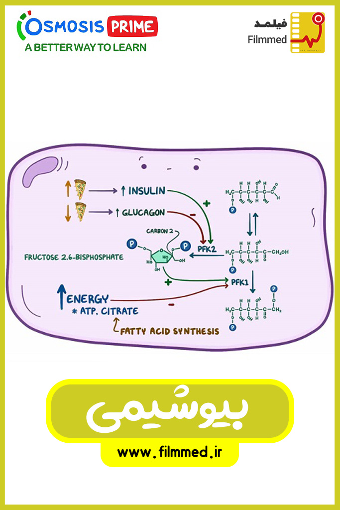 دانلود مجموعه آموزشی جراحی اسموزیس - فیلمد